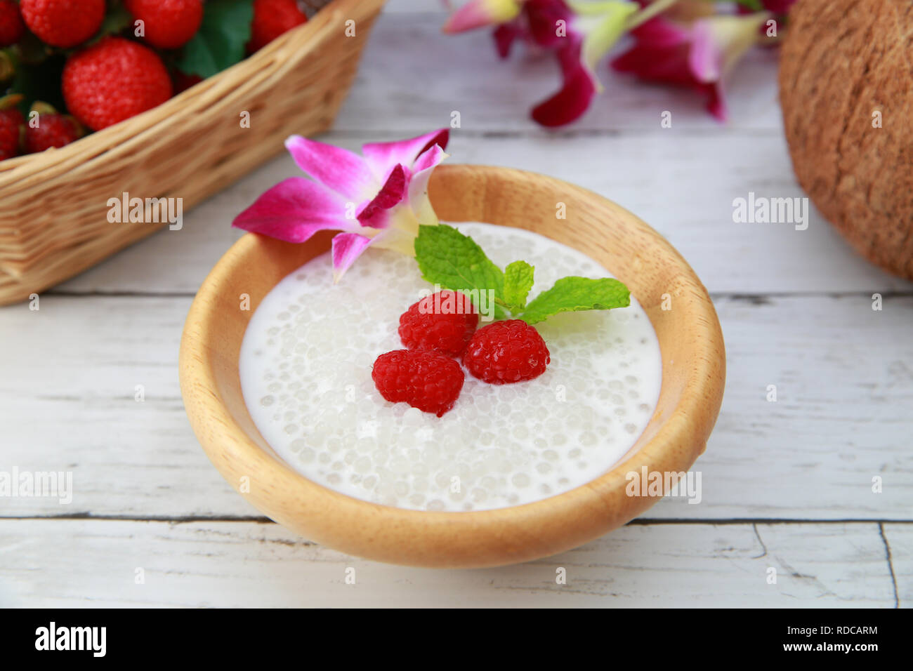 Tapioca tree hi-res stock photography and images - Alamy