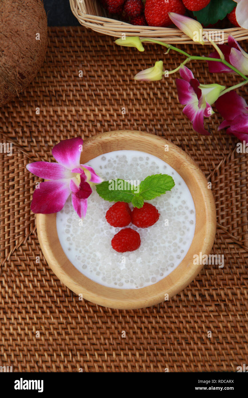Tapioca tree hi-res stock photography and images - Alamy