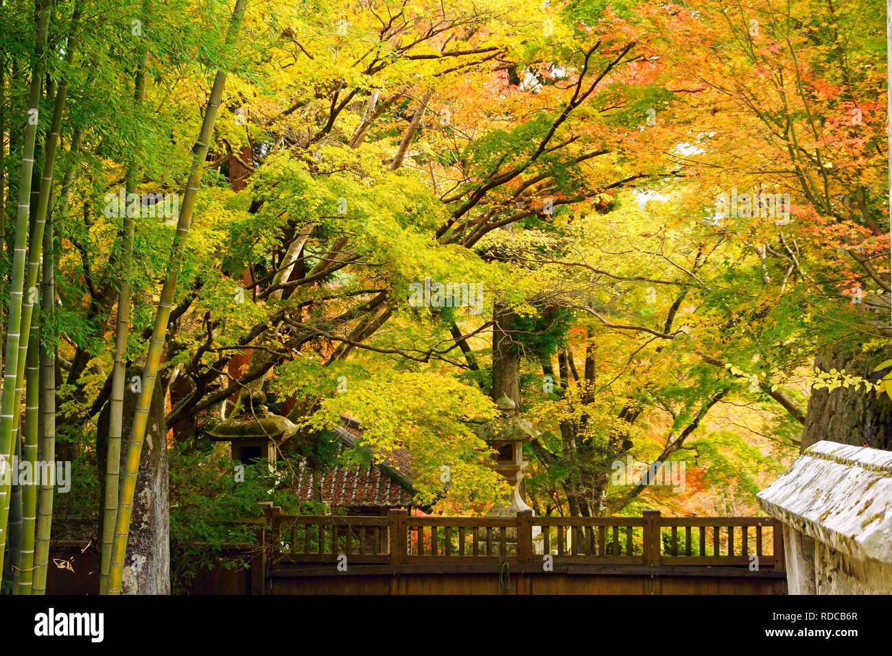 Futagoji temple hi-res stock photography and images - Alamy