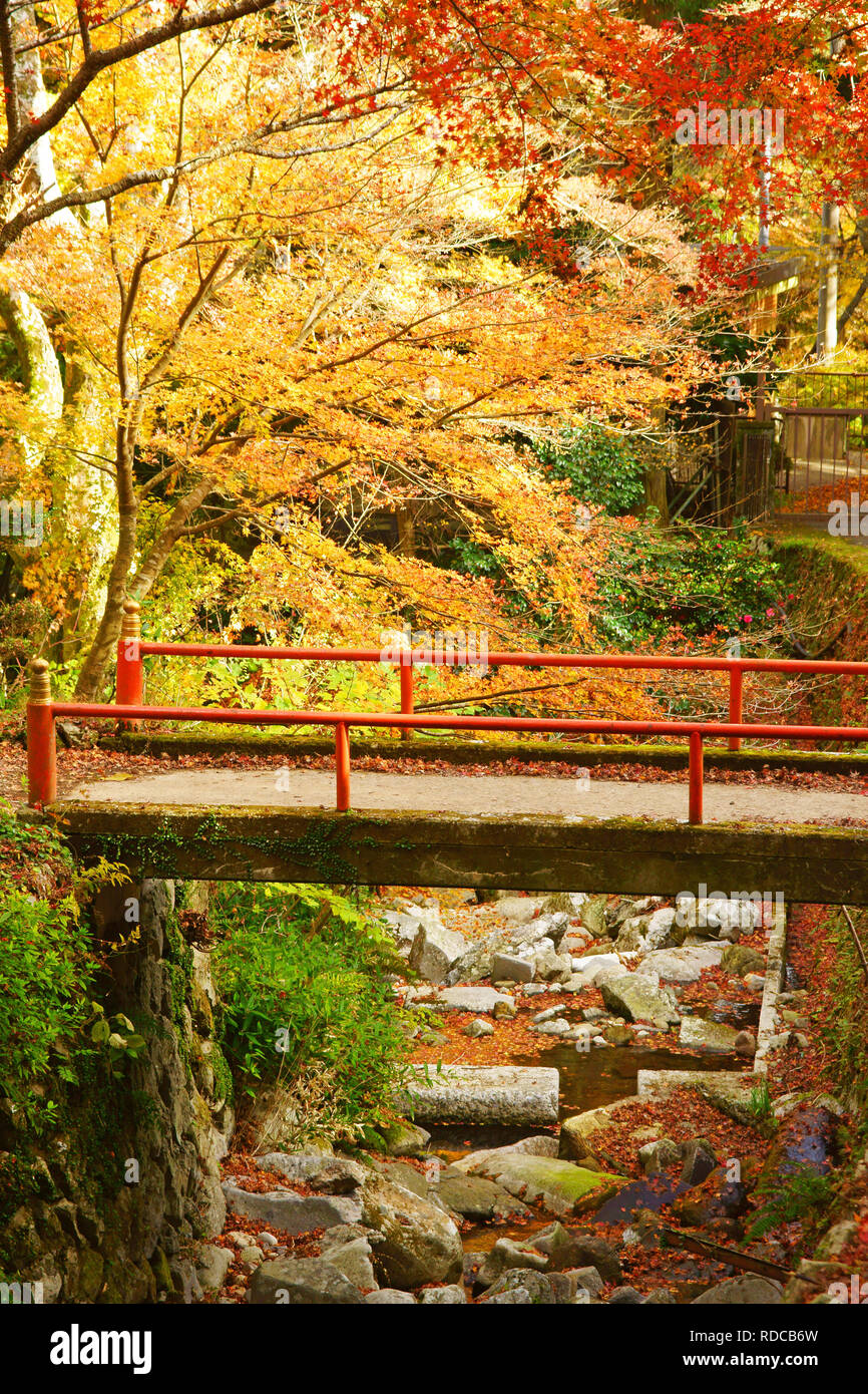 Futagoji temple hi-res stock photography and images - Alamy