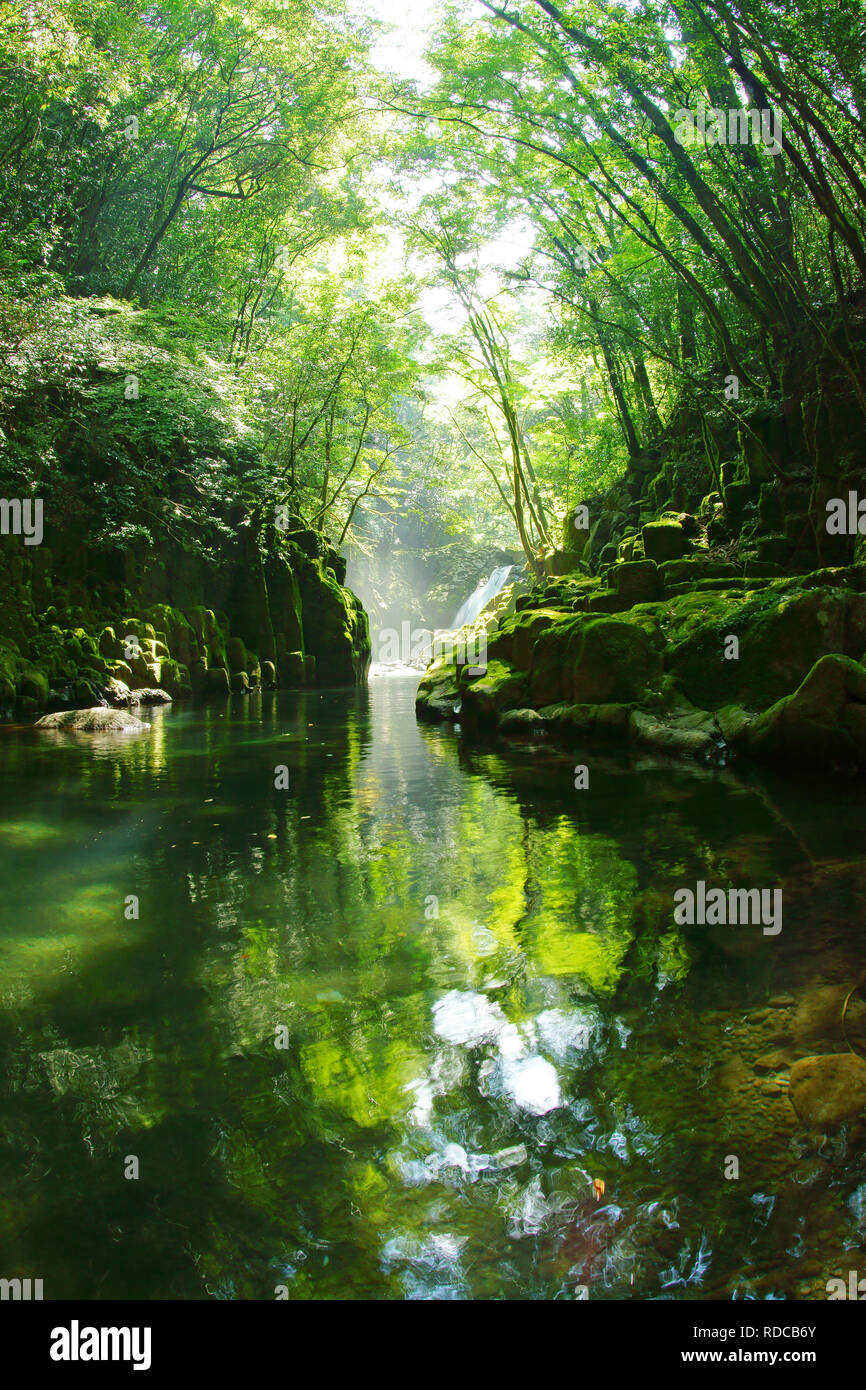 Kikuchi Gorge, Kumamoto Prefecture, Japan Stock Photo - Alamy