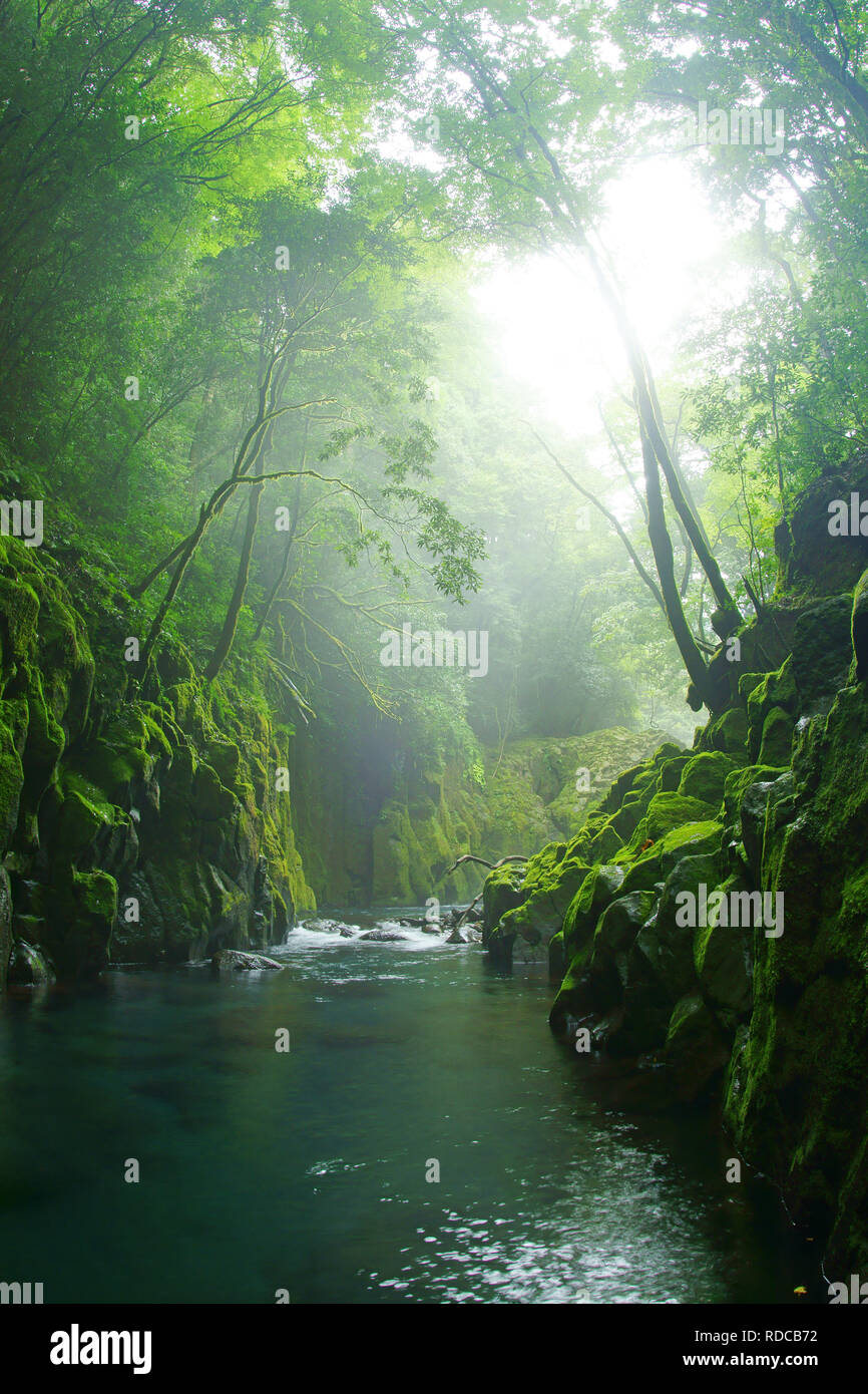 Kikuchi Gorge, Kumamoto Prefecture, Japan Stock Photo - Alamy