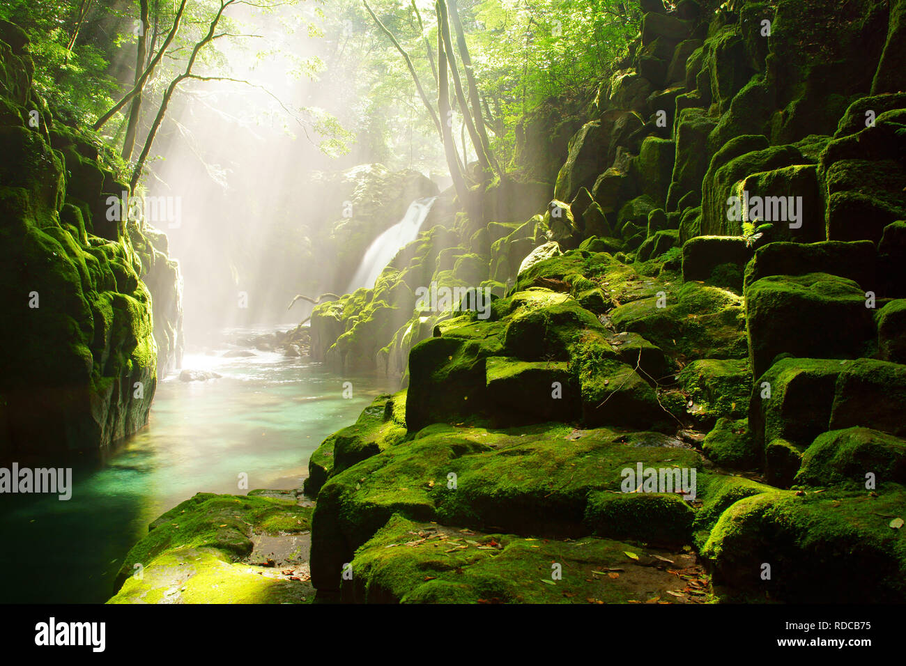 Kikuchi Gorge, Kumamoto Prefecture, Japan Stock Photo - Alamy