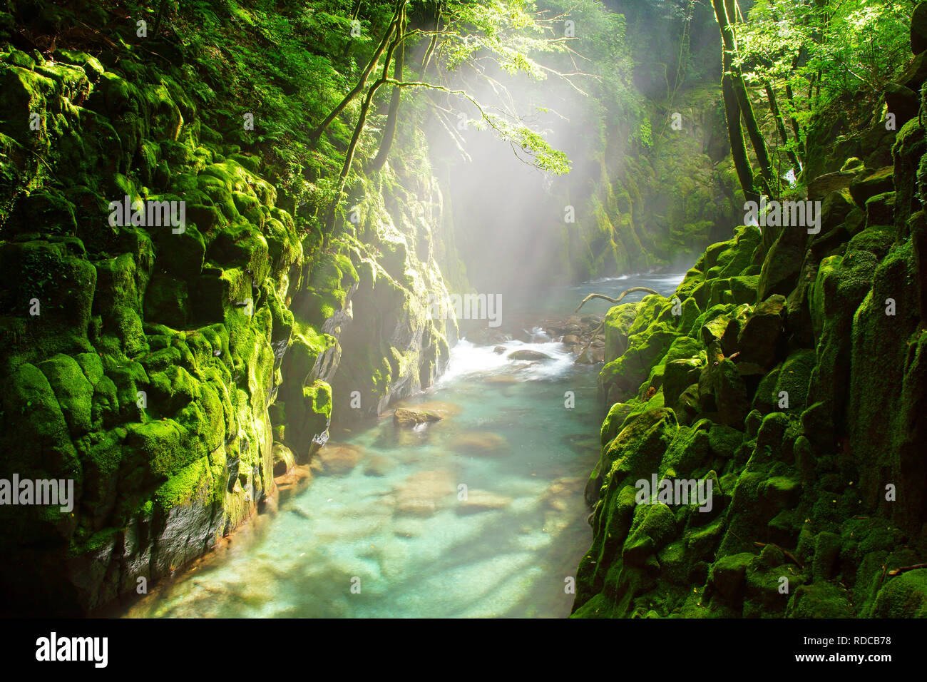 Kikuchi Gorge, Kumamoto Prefecture, Japan Stock Photo - Alamy