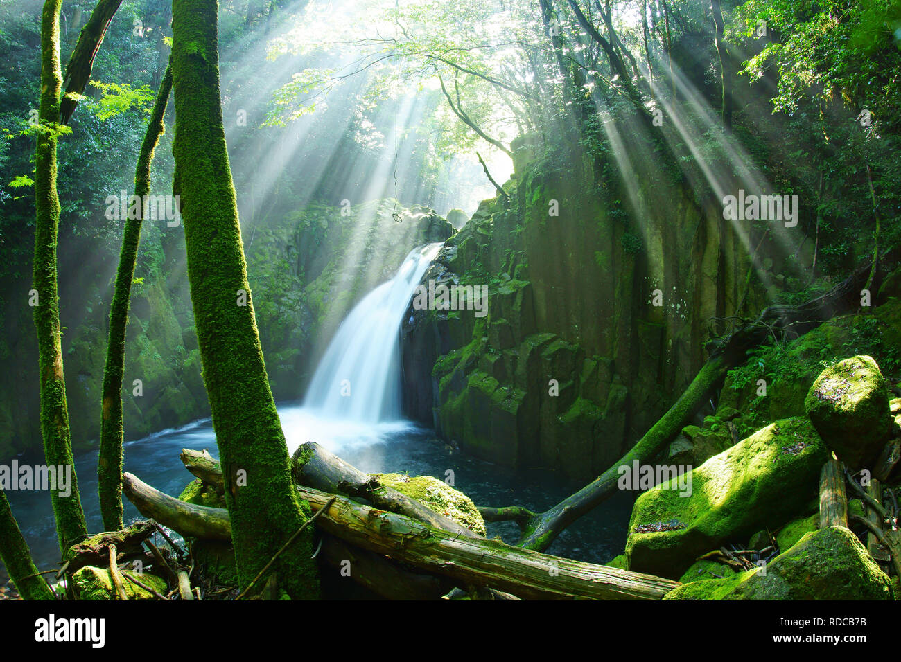 Kikuchi Gorge, Kumamoto Prefecture, Japan Stock Photo - Alamy
