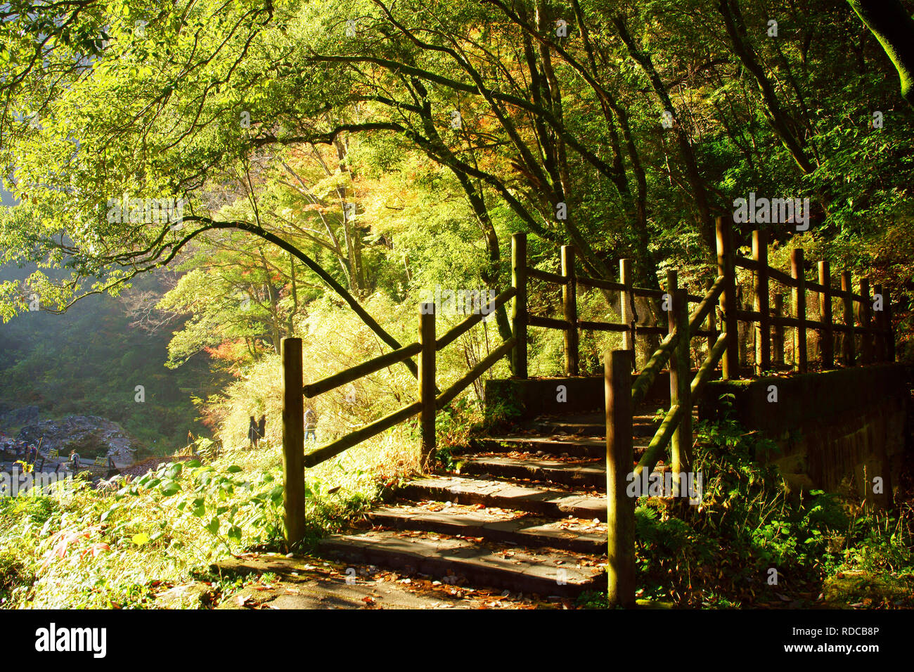 Miyazaki japan gorge hi-res stock photography and images - Alamy