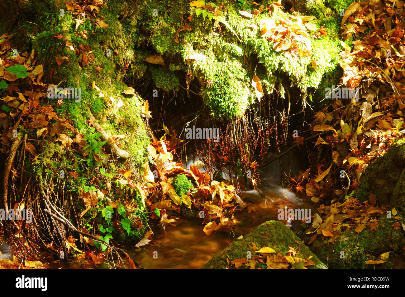 Headwaters of Chikugo River, Kumamoto Prefecture, Japan Stock Photo - Alamy