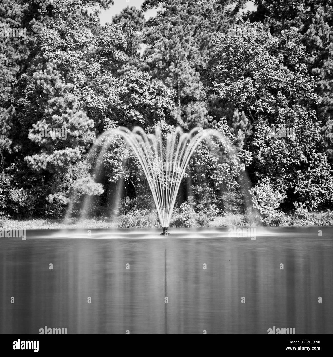 Woodlands garden Black and White Stock Photos & Images - Alamy