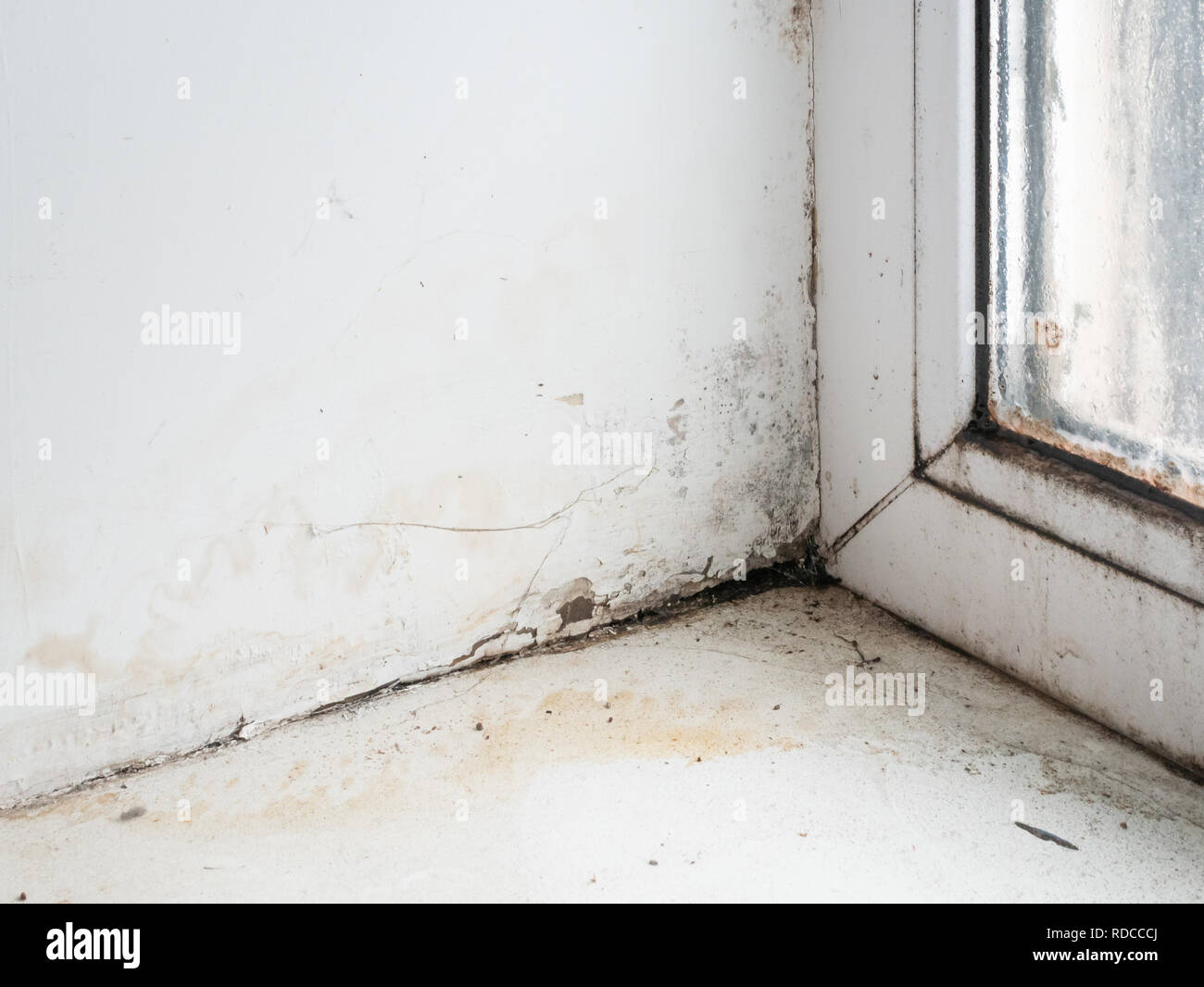 wet corner of window frame with mold fungus, wall is slightly cracked ...