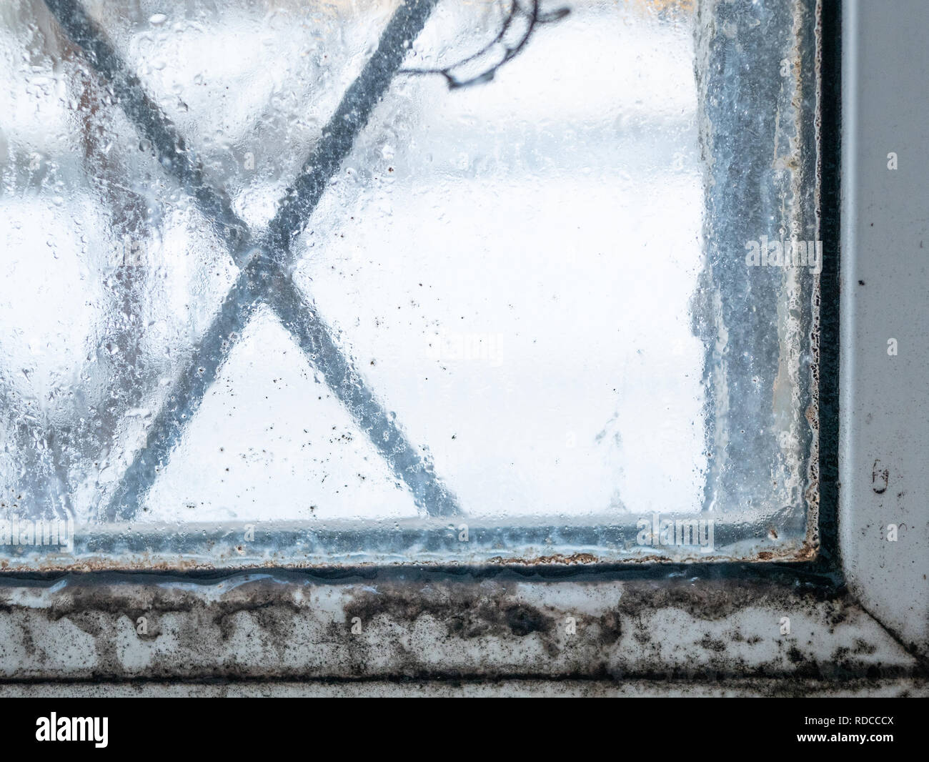 closeup of condensate fungus mold on window frame. high humidity indoor ...