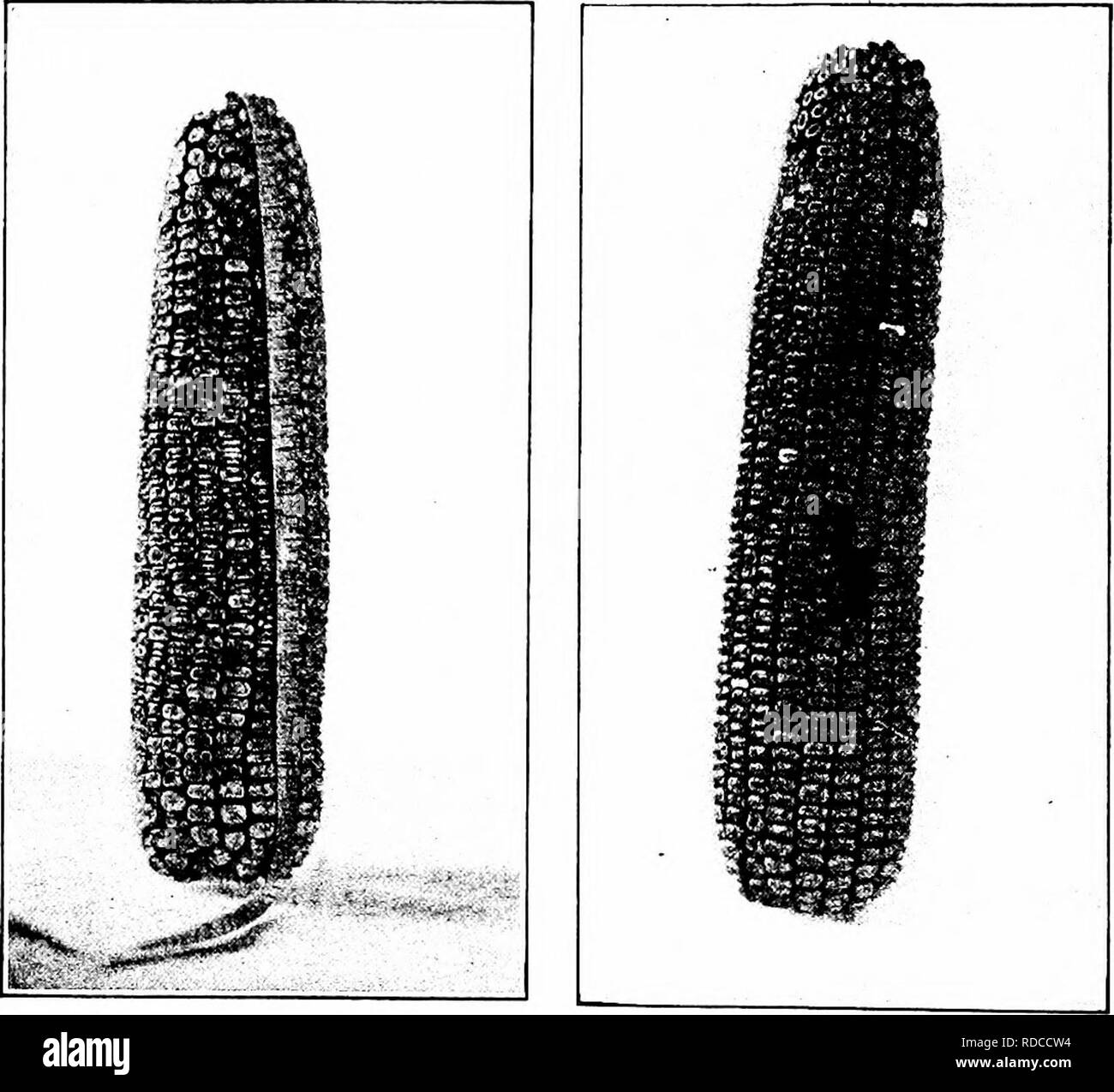 . Soils and plant life as related to agriculture . Agriculture; Soils ...