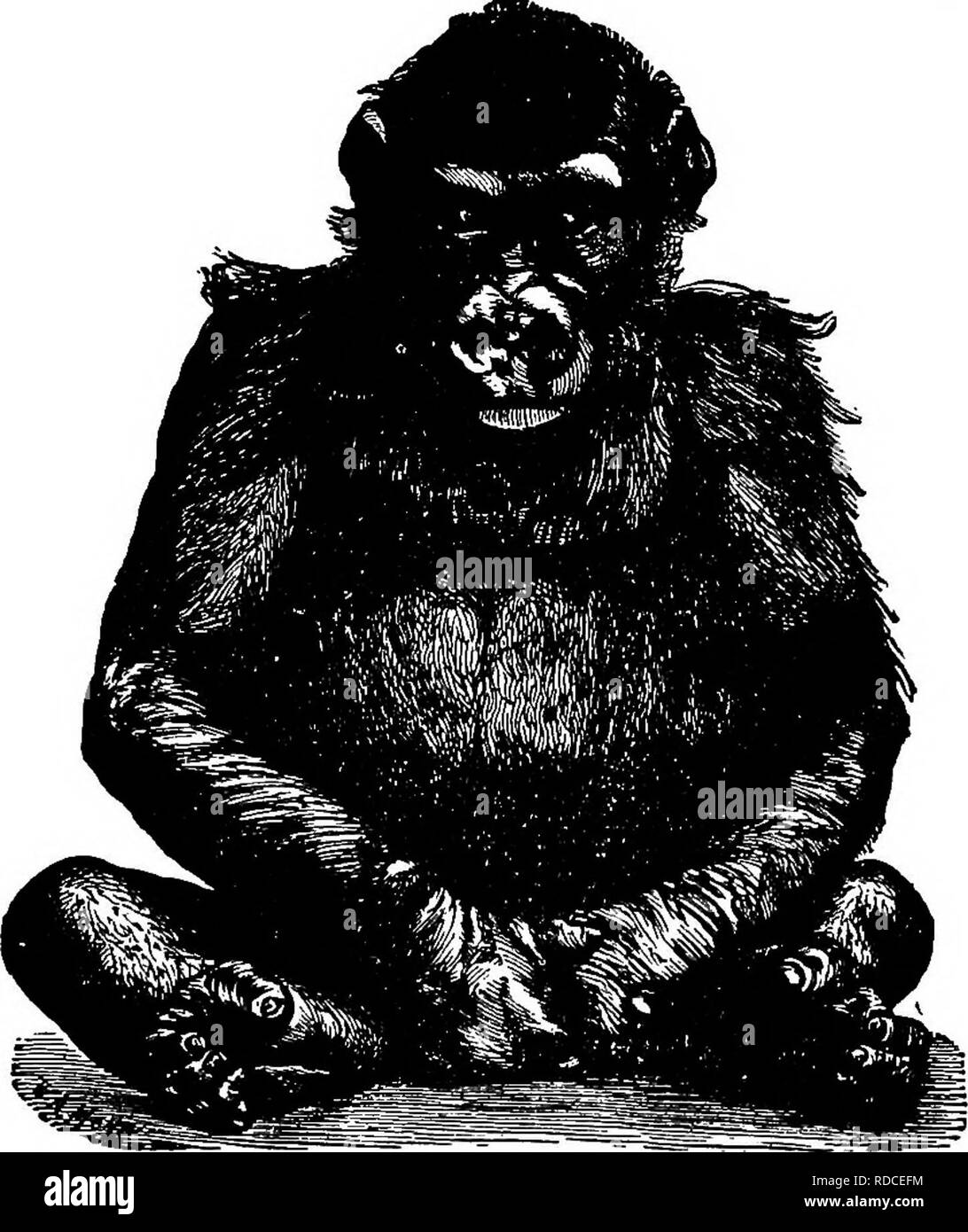 . Readings in evolution, genetics, and eugenics. Evolution; Heredity ...