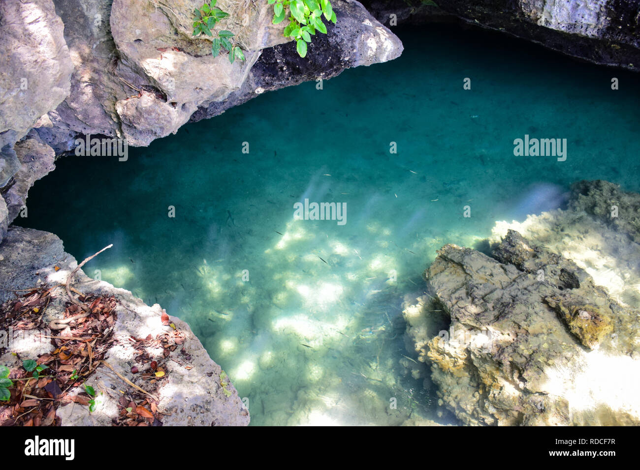 Shallow sea water surface shines through the bottom of the sea ...