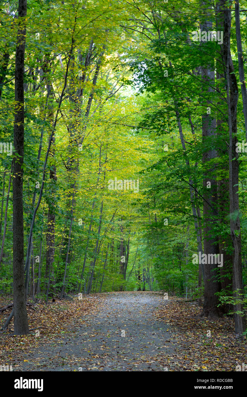 Tallman state park new york hi-res stock photography and images - Alamy