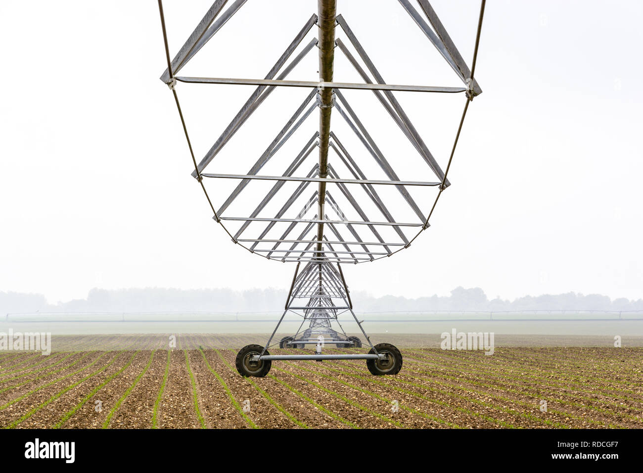 View from below of a center pivot irrigation system in a young field of ...