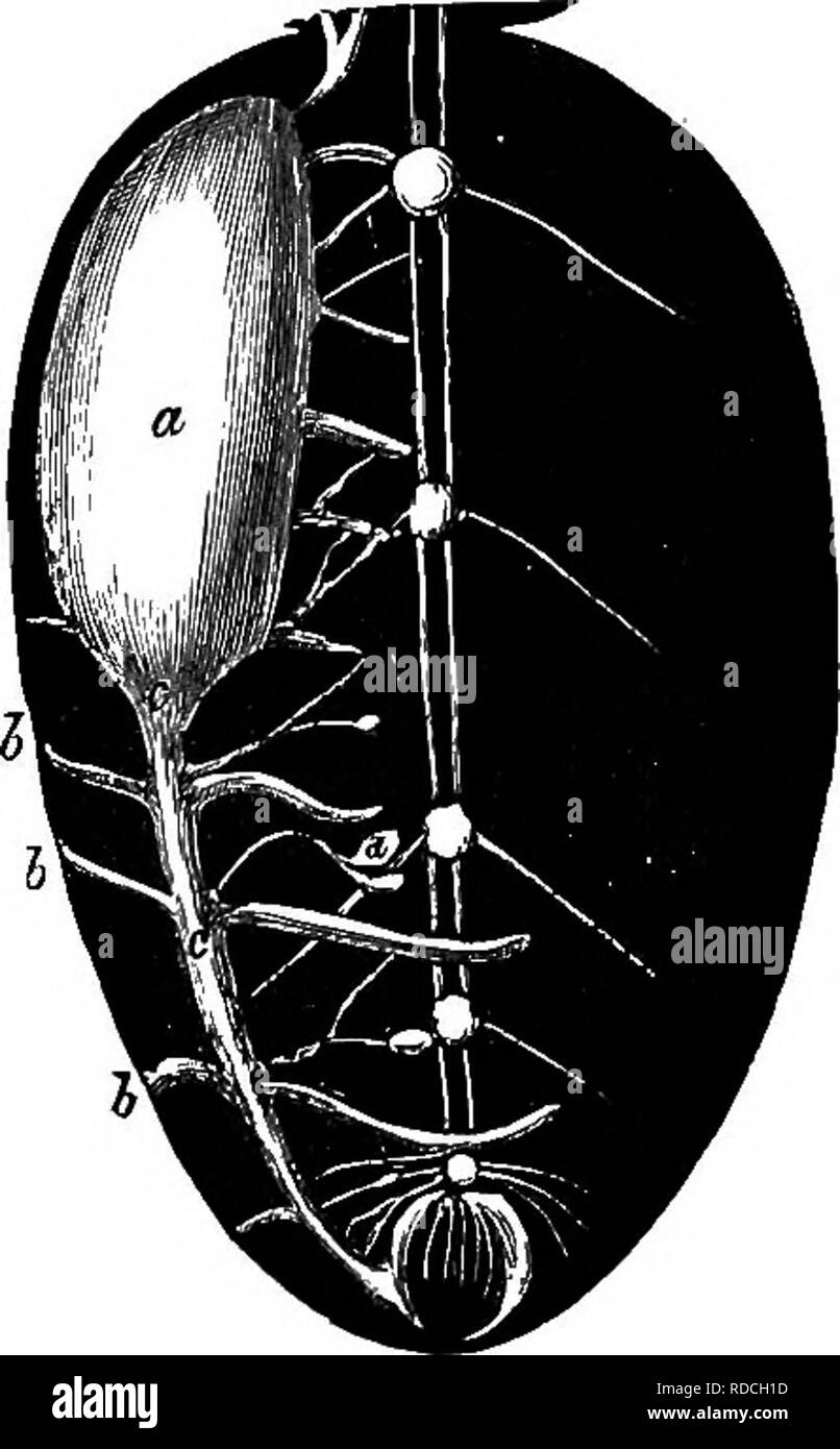 Entry holes Black and White Stock Photos & Images - Alamy