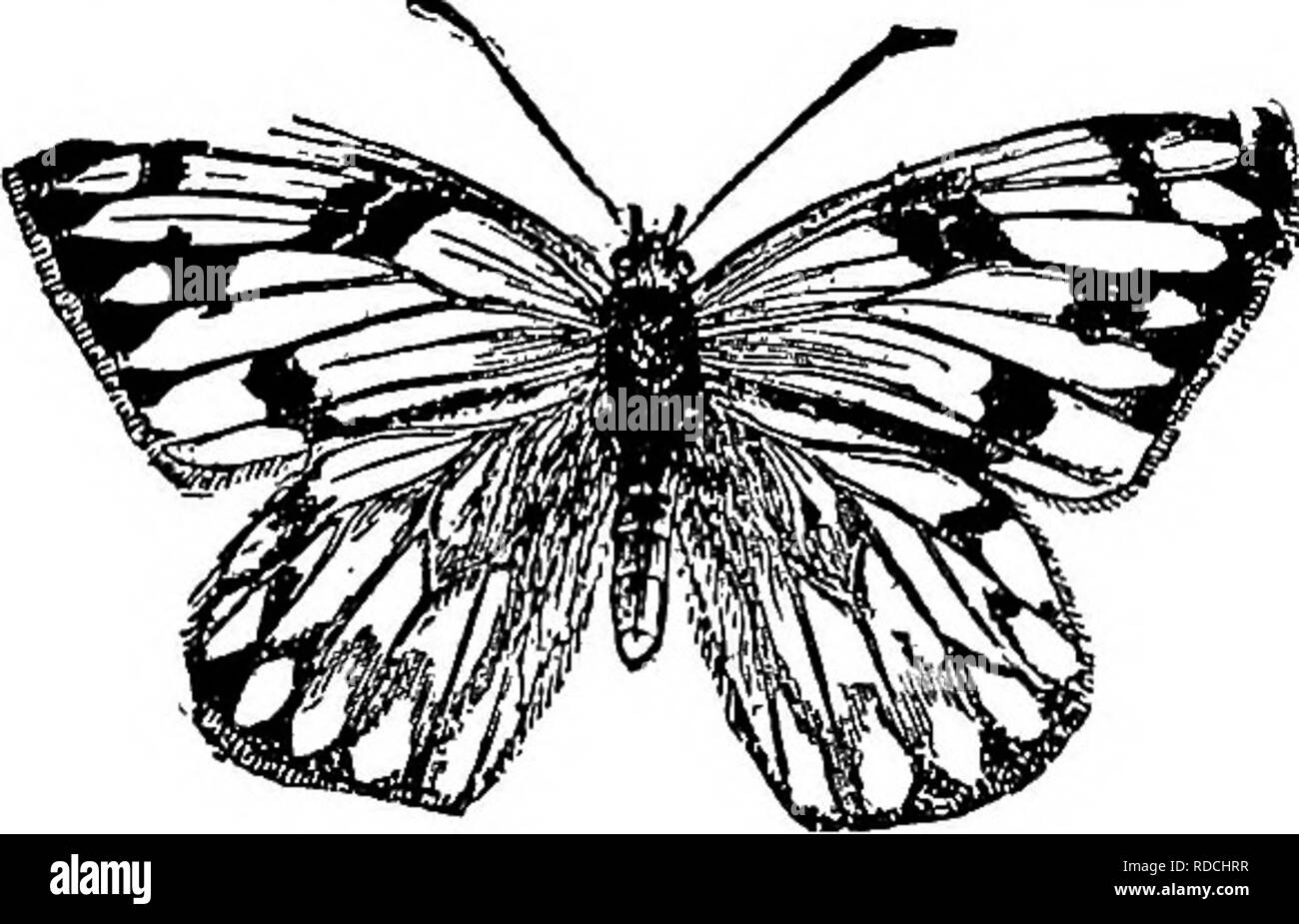 Livestock farming techniques Cut Out Stock Images & Pictures - Alamy