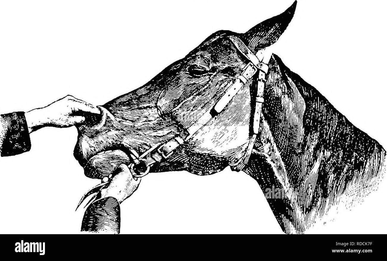 Petechiae purpura Black and White Stock Photos & Images - Alamy