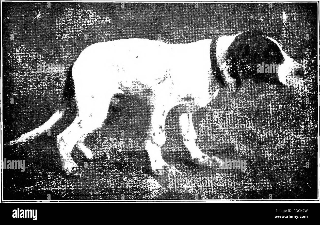 Opisthotonus hi-res stock photography and images - Alamy