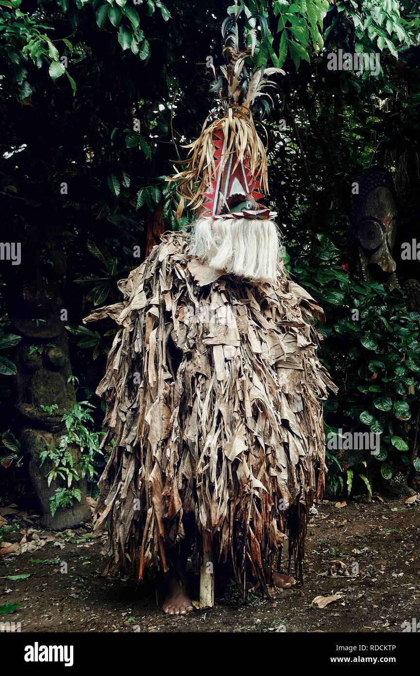 Olal, Ambrym Island / Vanuatu - JUL 10 2016 : rom dancer waiting at the ...
