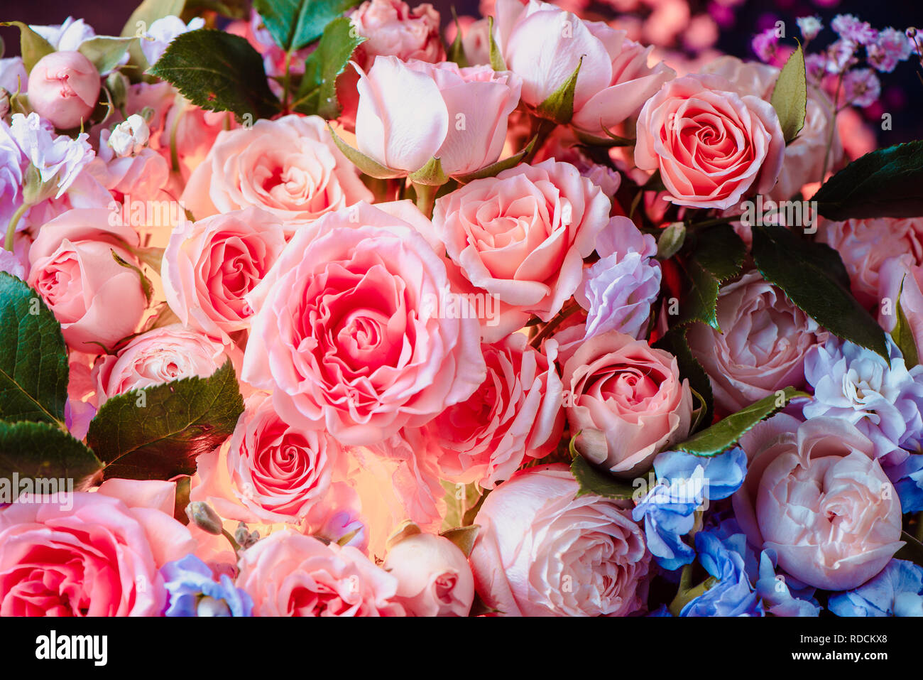 Peony roses and small flowers with an inner glow. Beautiful flower ...