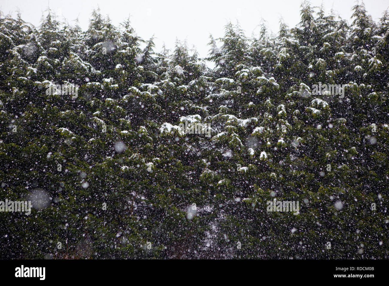 December 10th 2017 hi-res stock photography and images - Alamy