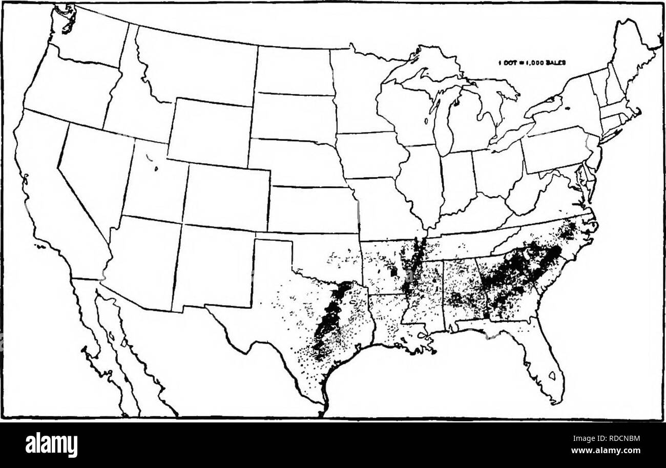 Guncotton Stock Photos & Guncotton Stock Images - Alamy