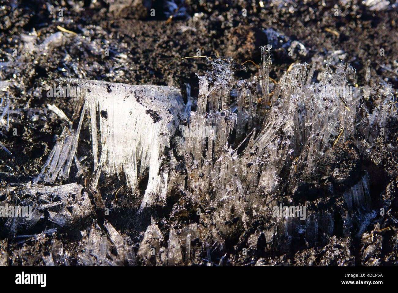 Needle ice hi-res stock photography and images - Alamy