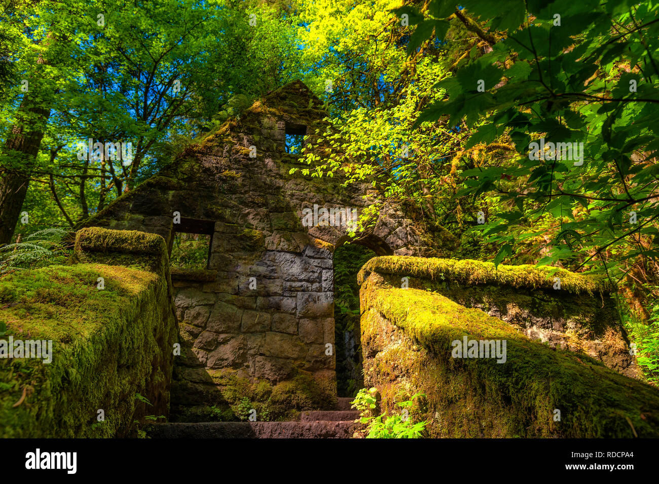Hiking in Forest Park west of downtown Portland Oregon this abandonded ...