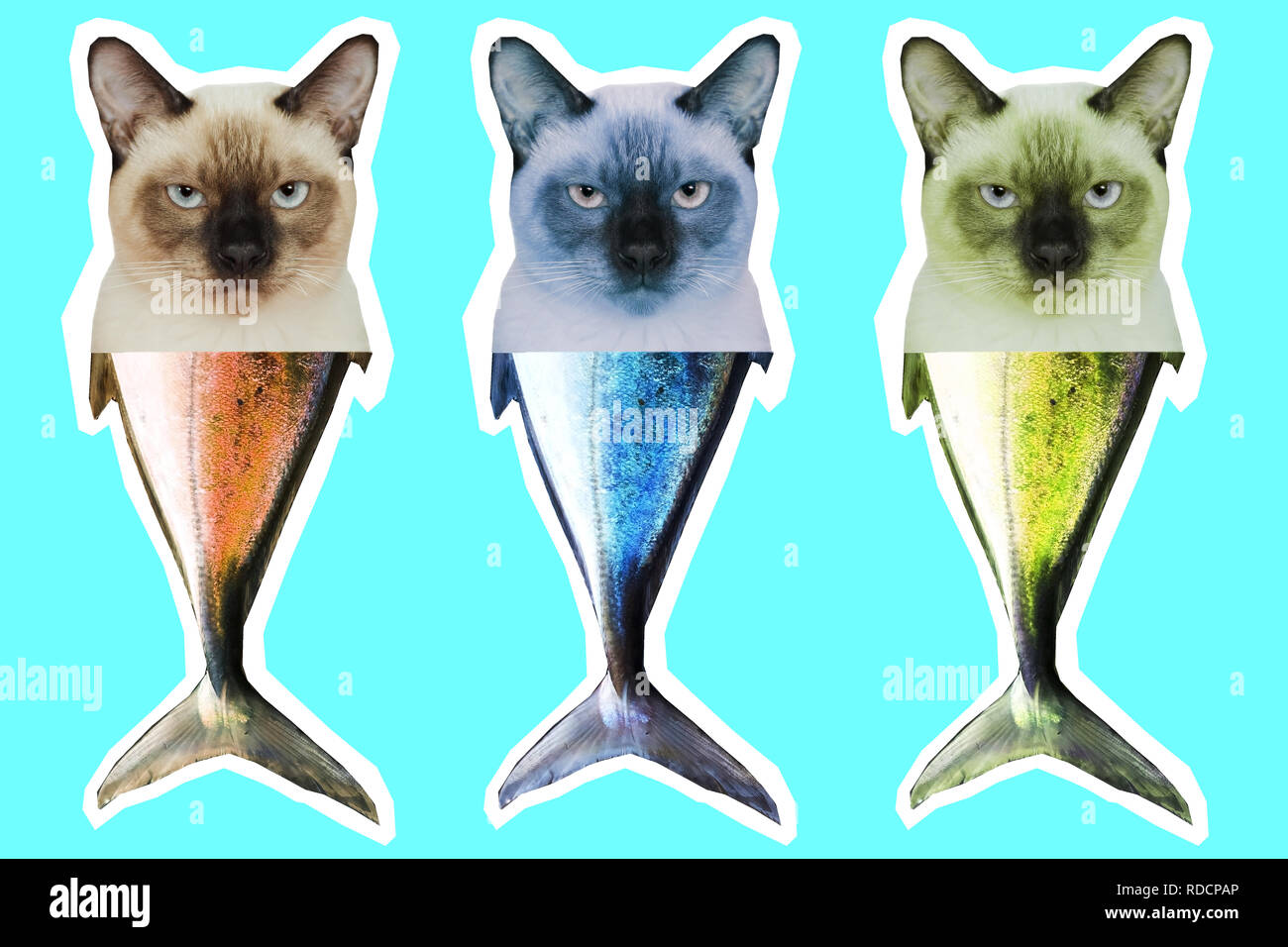 Thai cat head and fish tail chimera. Contemporary art collage Stock ...