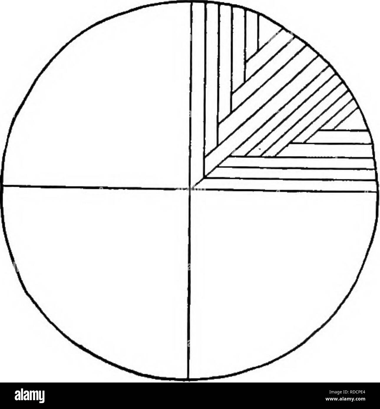 Quarter Fraction Clipart