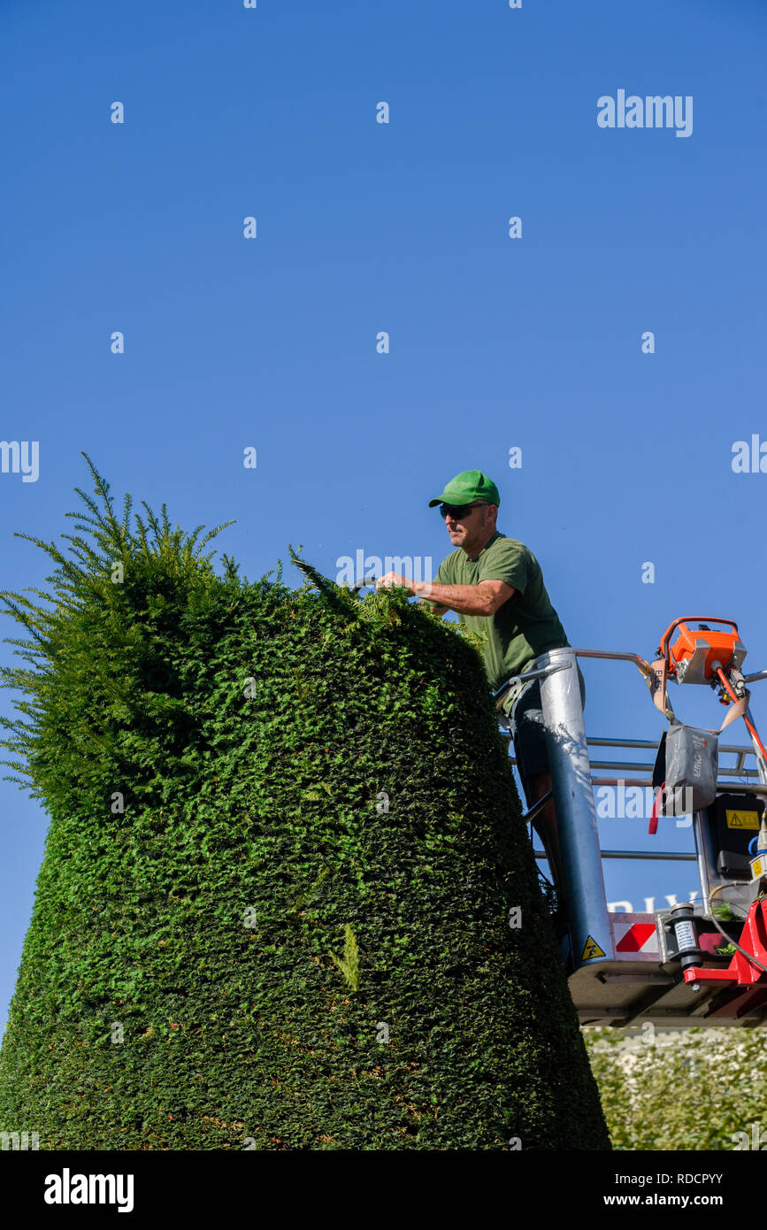 Conical Trees High Resolution Stock Photography and Images - Alamy