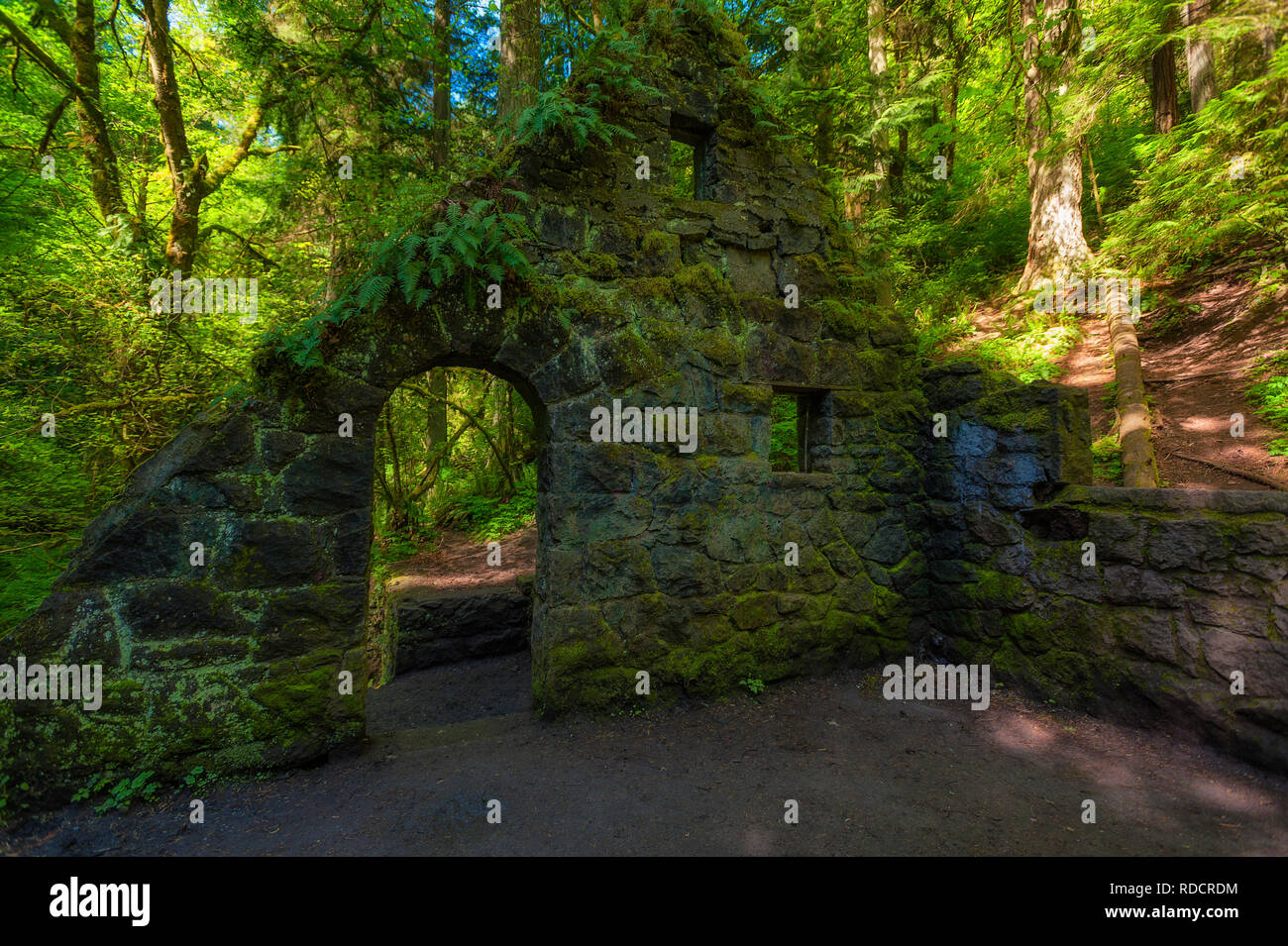 Hiking in Forest Park west of downtown Portland Oregon this abandonded ...