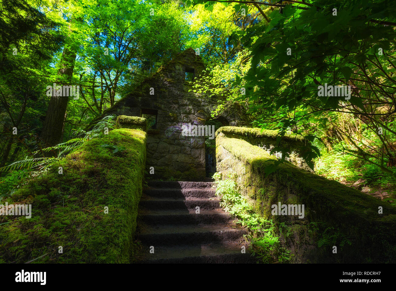 Hiking in Forest Park west of downtown Portland Oregon this abandonded ...