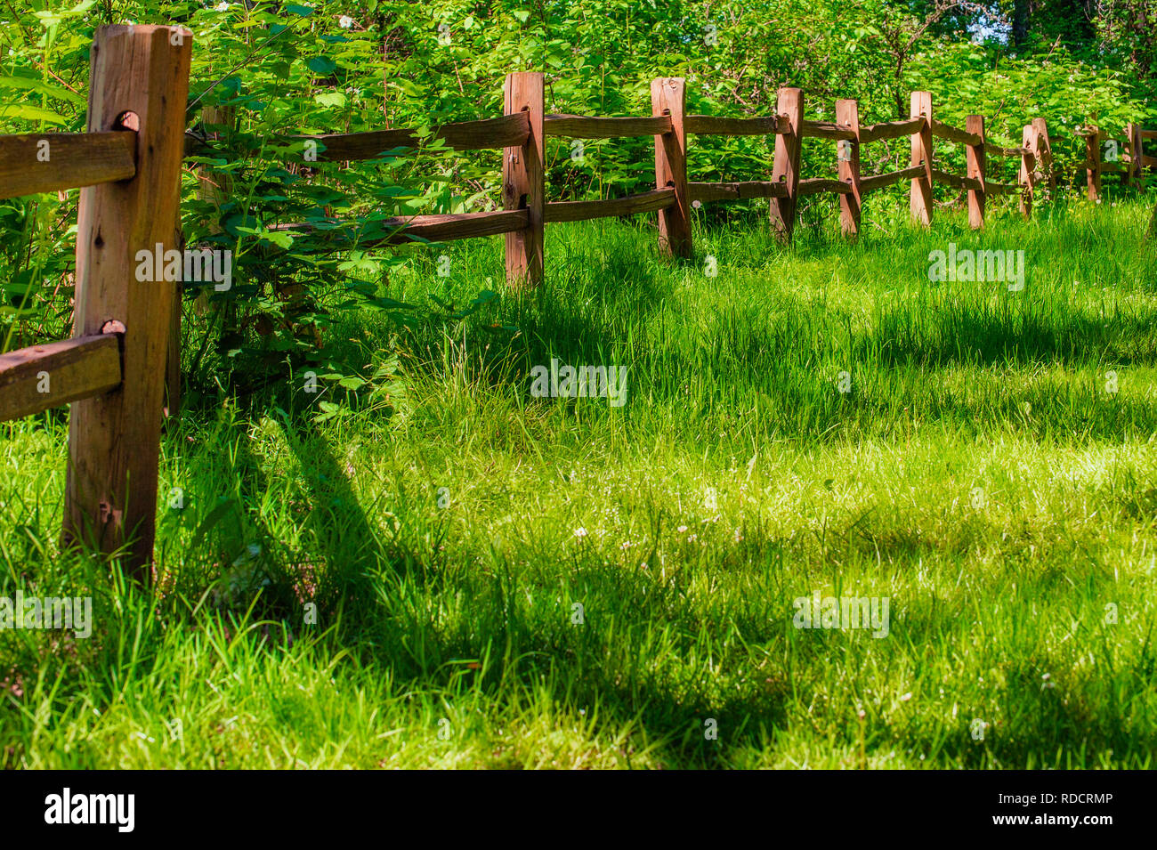 A wooden split rail fence with grass on one side and shrubs on another ...