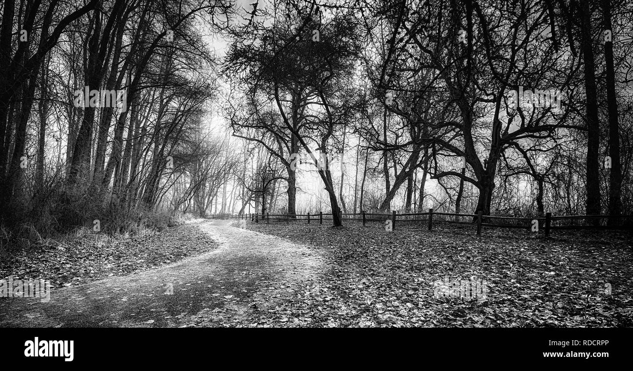 Kelly frost Black and White Stock Photos & Images - Alamy