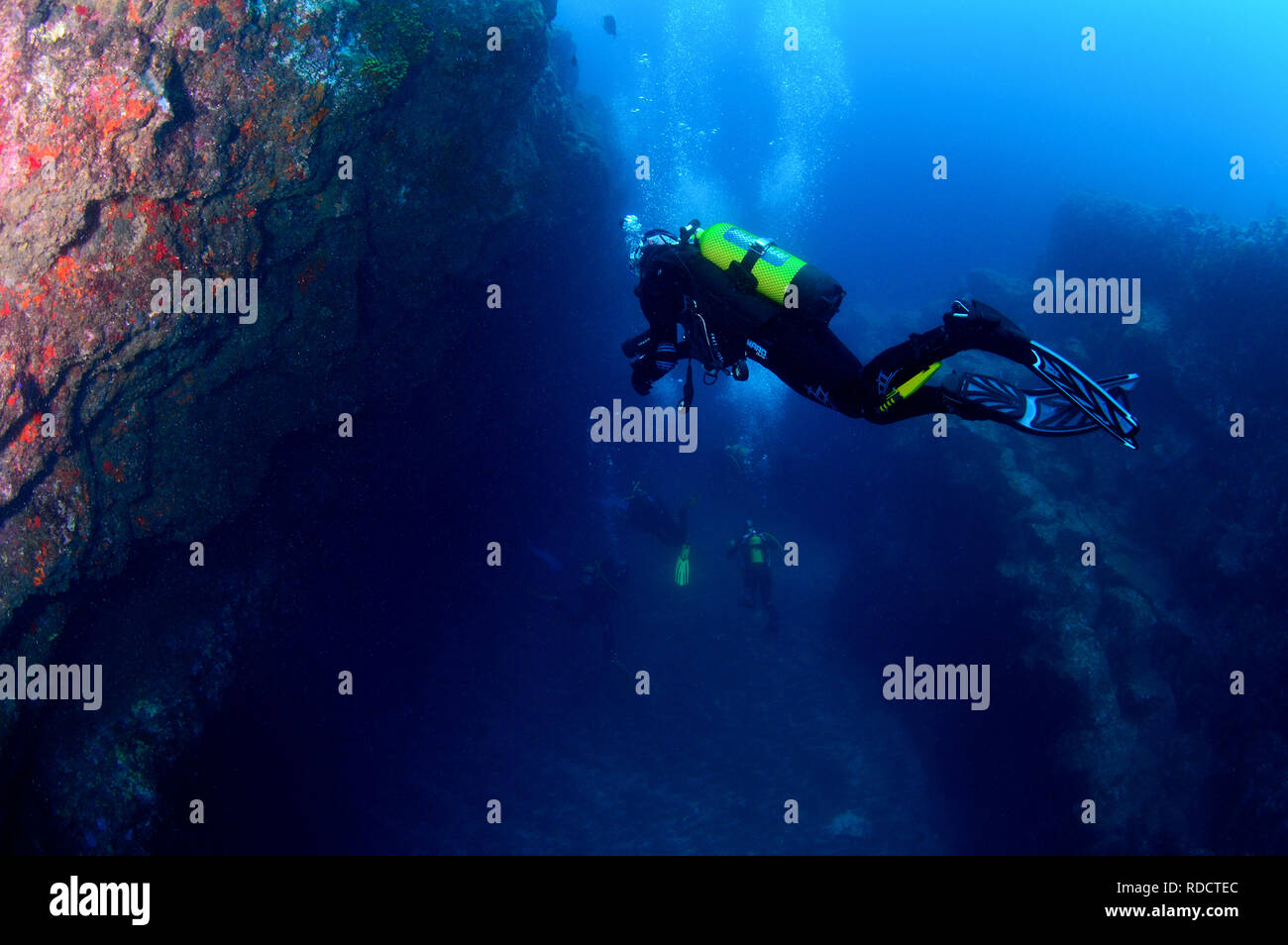 Scuba Diving n Tenerife - Canary Islands Stock Photo - Alamy