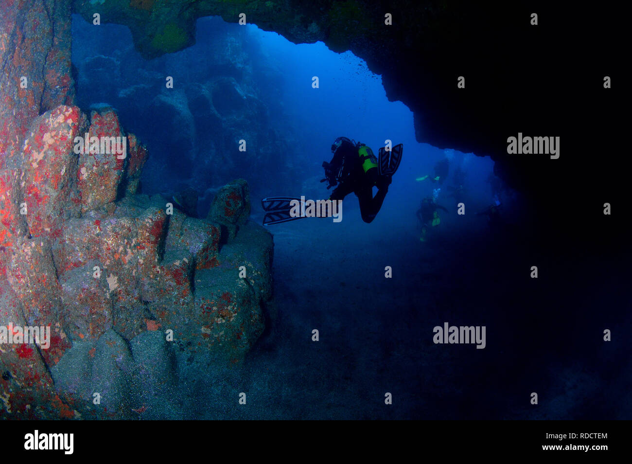 Scuba Diving n Tenerife - Canary Islands Stock Photo - Alamy