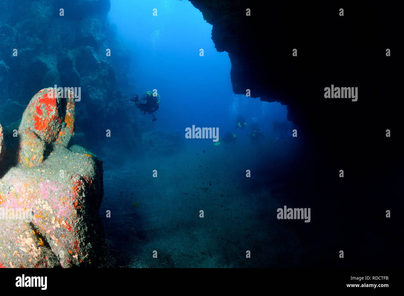 Scuba Diving n Tenerife - Canary Islands Stock Photo - Alamy