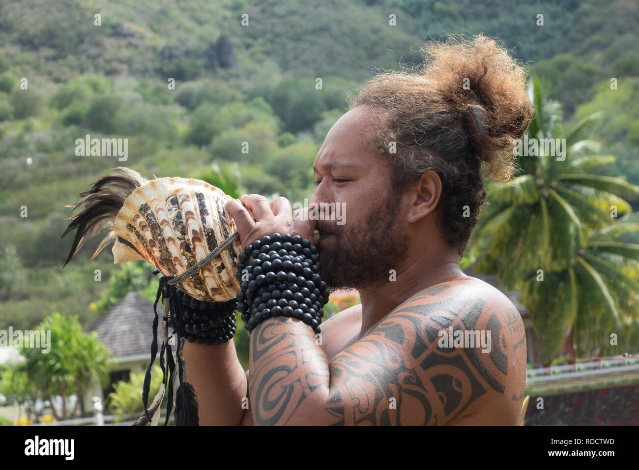 Seas shell hi-res stock photography and images - Alamy