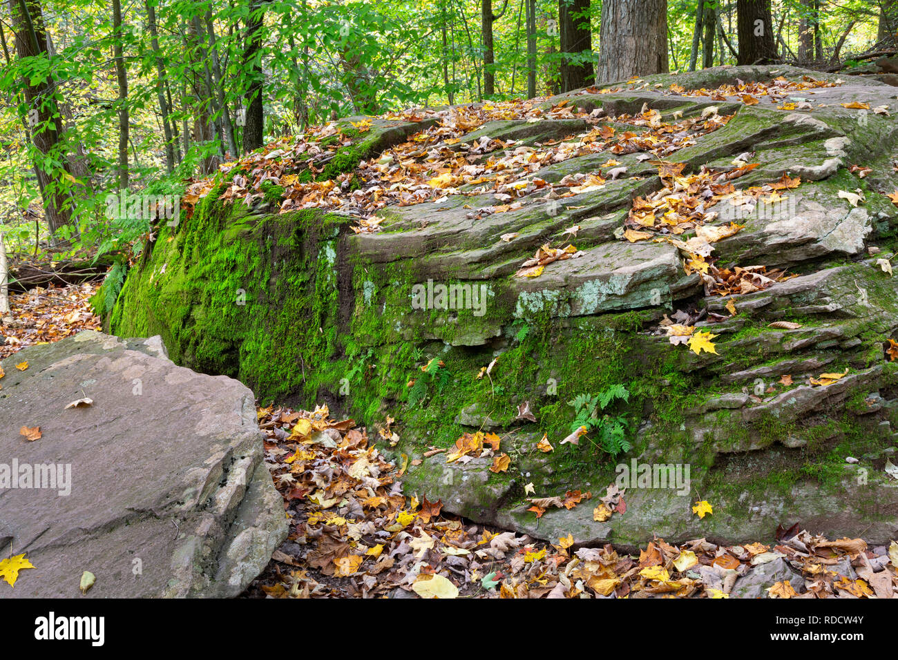 Kaaterskill falls trail hi-res stock photography and images - Alamy