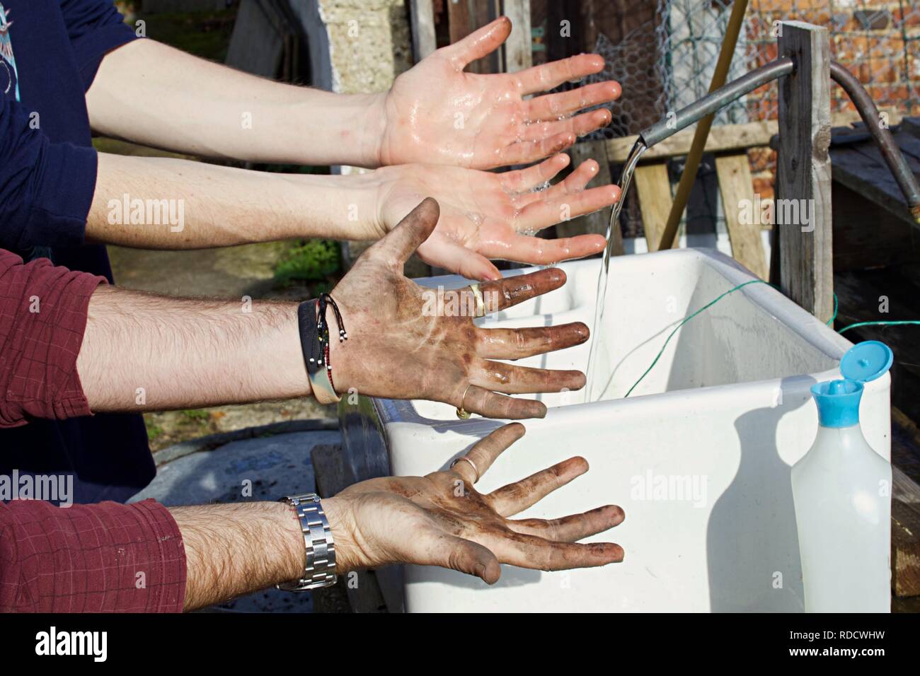 Photo of hands, washed and unwashed Stock Photo - Alamy