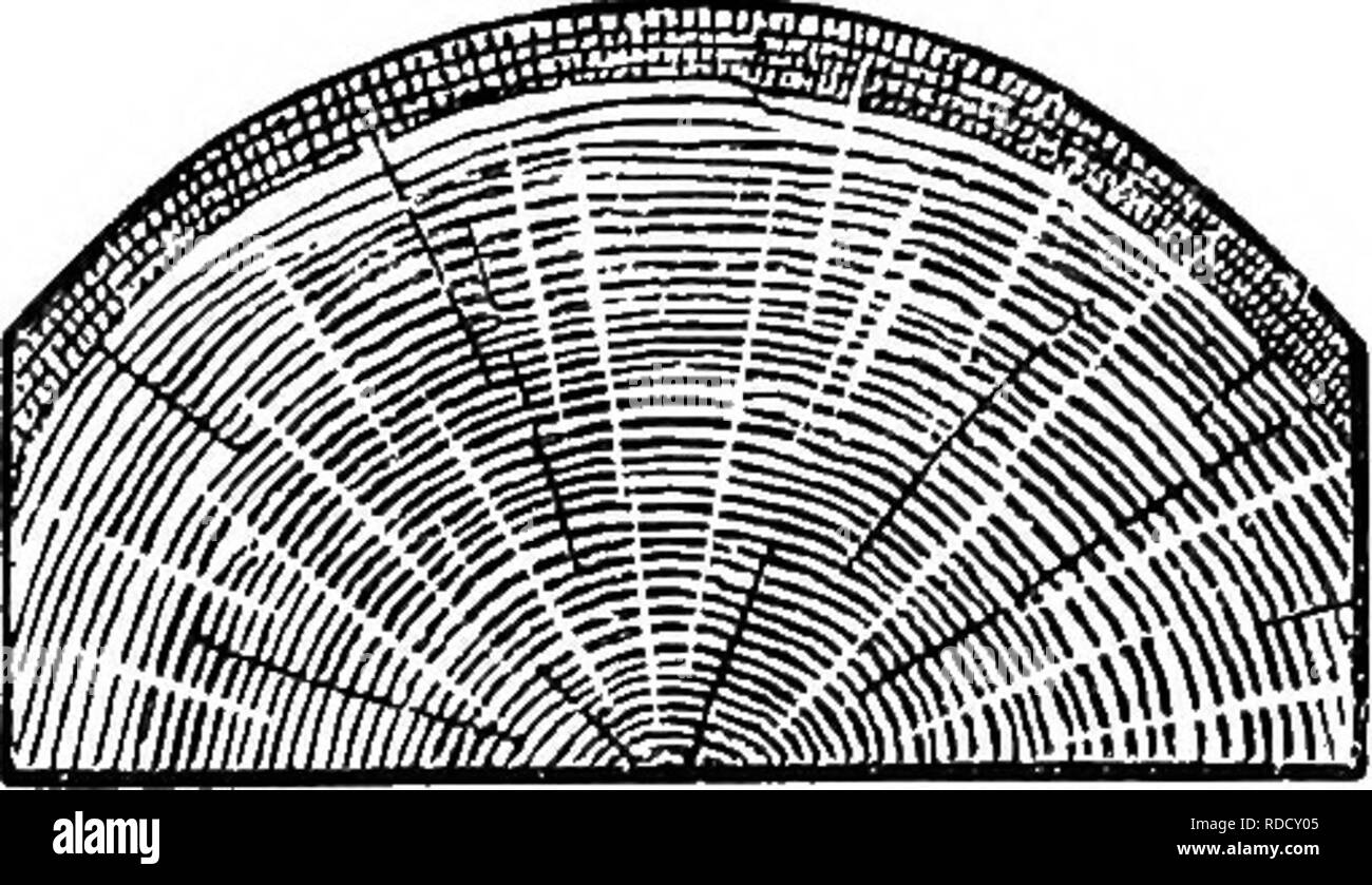 . Timber and timber trees, native and foreign . Timber; Trees. 96 ...