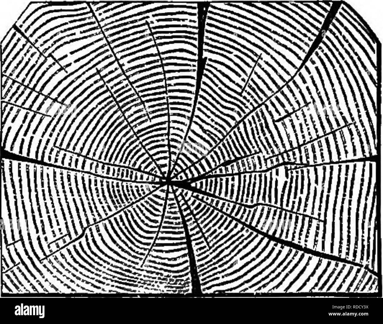 Defects in timber Black and White Stock Photos & Images - Alamy