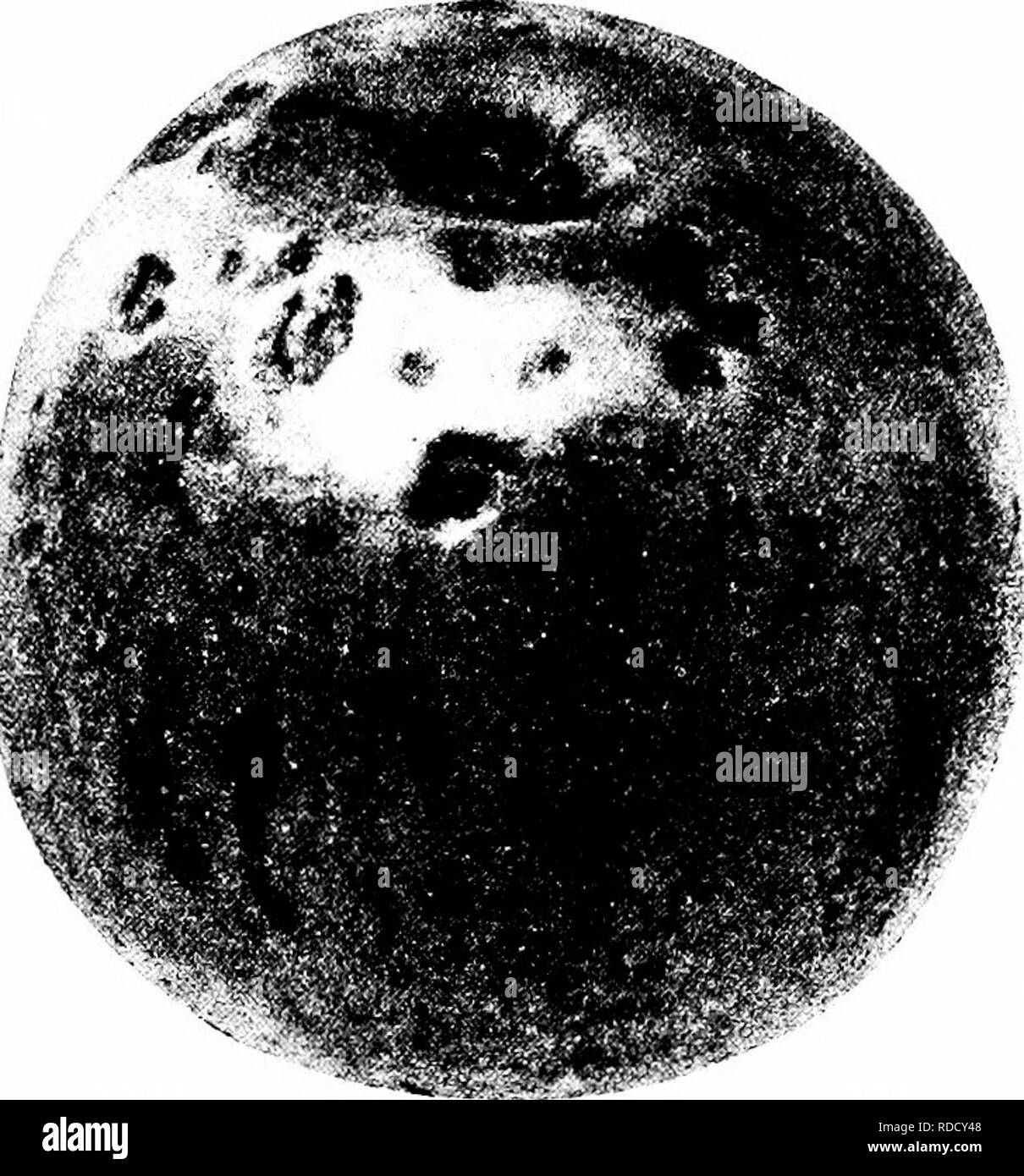 Bitter pit apple hi-res stock photography and images - Alamy