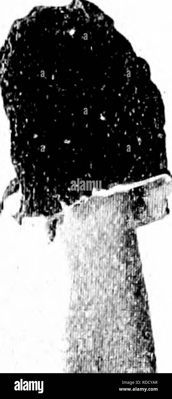 1 7 x 1 6 cm Black and White Stock Photos & Images - Alamy