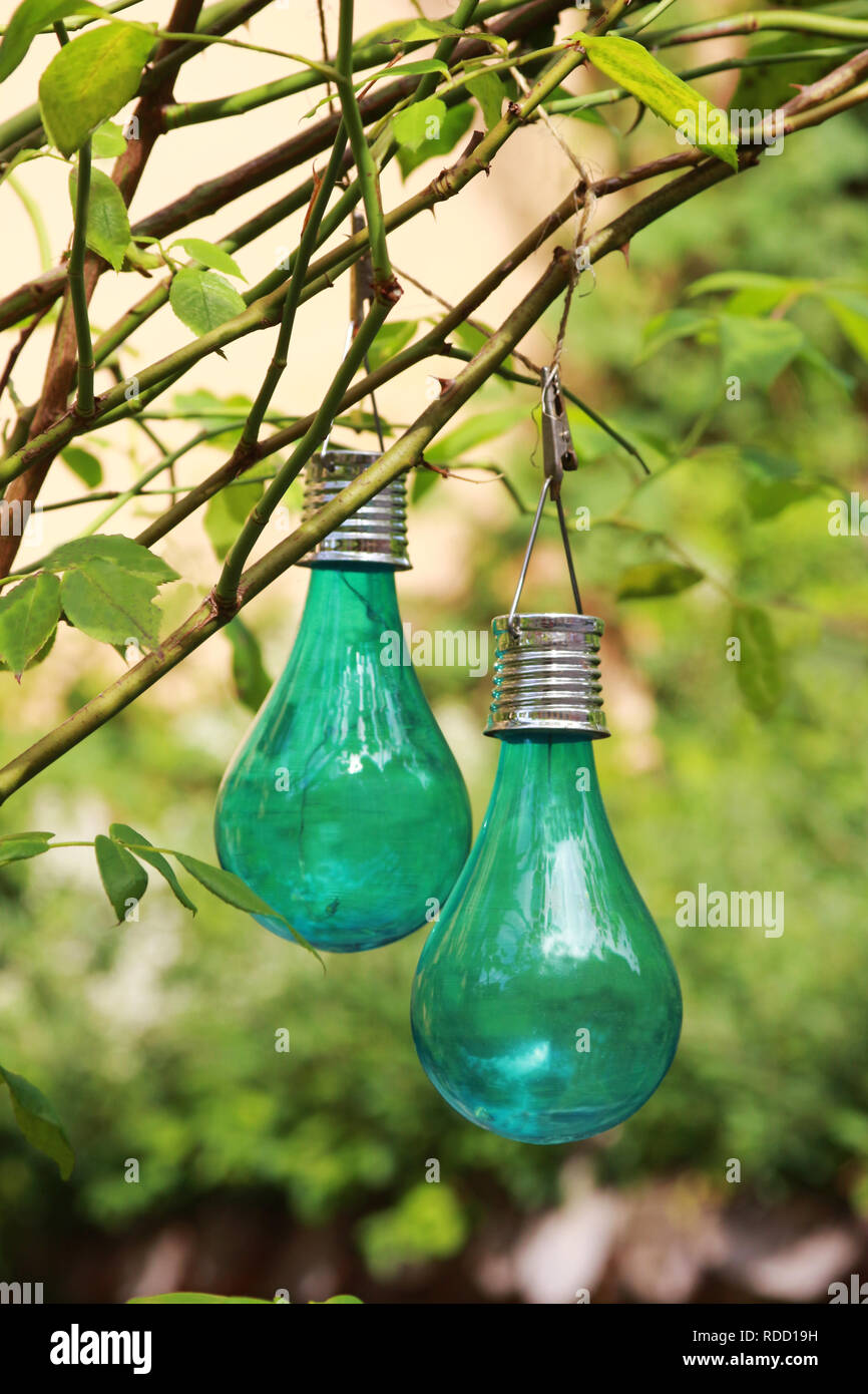 Light bulb bush hi-res stock photography and images - Alamy