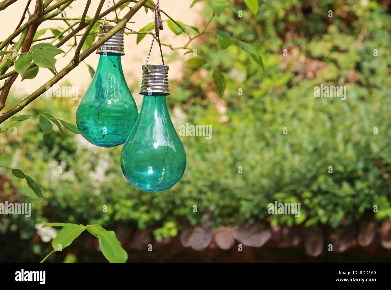 two green light bulbs for a party hanging in a garden, party decoration ...