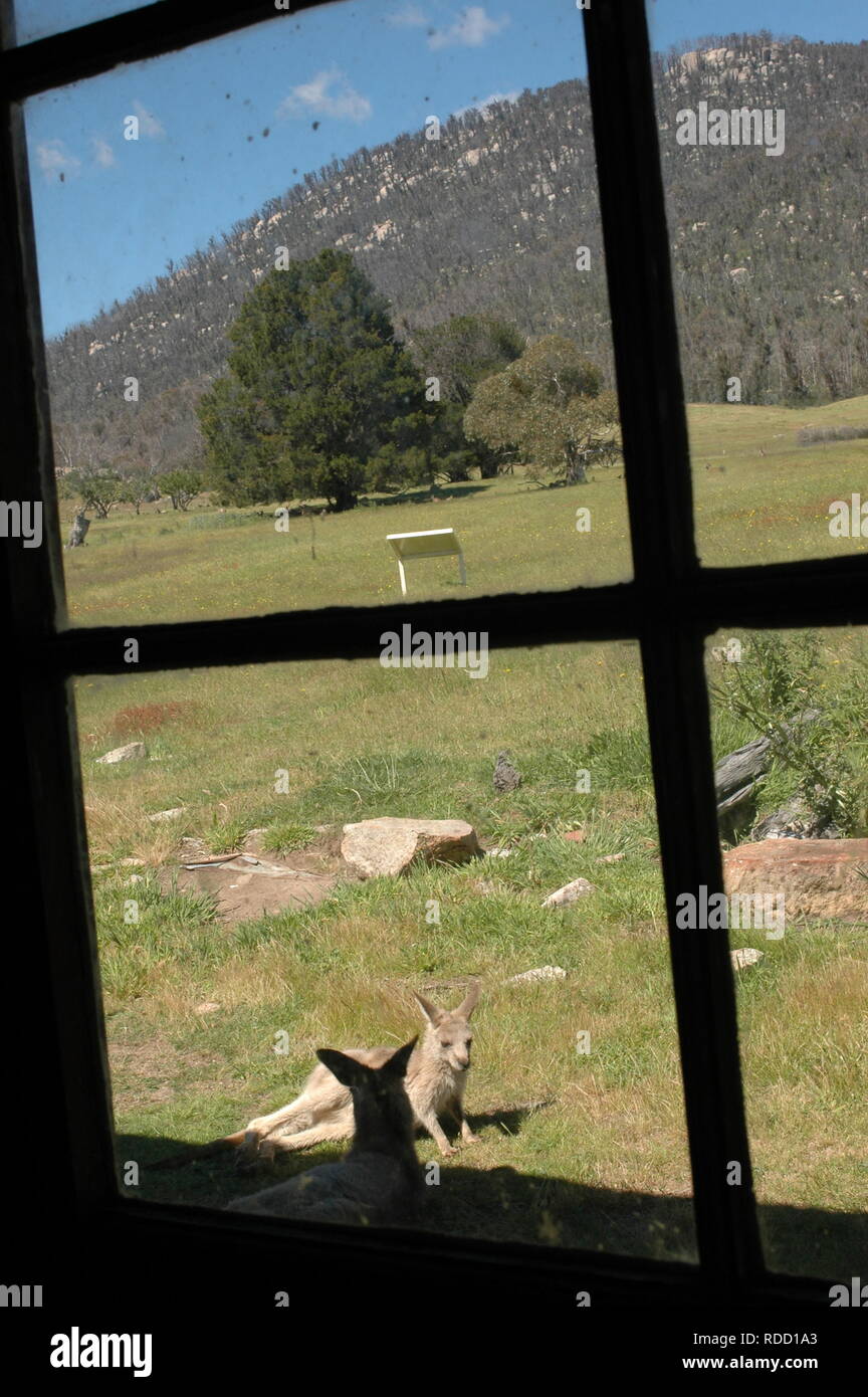 Historical orroral homestead hi-res stock photography and images - Alamy
