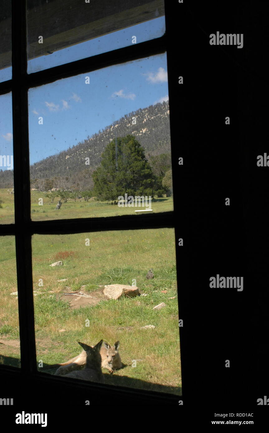 Historical orroral homestead hi-res stock photography and images - Alamy